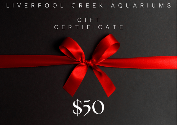 Gift Cards - Liverpool Creek Aquariums